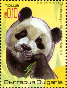 Stamp: Giant Panda (Ailuropoda melanoleuca) (Bulgaria(Pandas) Mi:BG ...