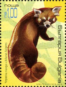 Stamp: Red Panda (Ailurus fulgens) (Bulgaria(Pandas) Mi:BG 4968,Sn:BG ...