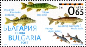 Stamp: Zander, Northern Pike, Danube Salmon, Asp (Bulgaria(Fish of the ...