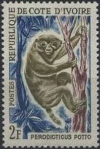 Stamp: West African Potto (Perodicticus potto) (Ivory Coast(Fauna (1964 ...