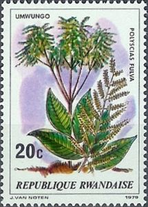 Stamp: Polycias Fulva (Rwanda(African trees and shrubs) Mi:RW 984,Sn:RW ...