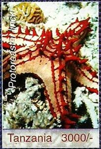 Stamp: Red-knobbed Starfish (Protoreaster lincki) (Tanzania(Species of ...