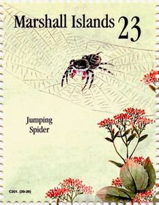 Stamp: Jumping Spider (Phidippus audax) (Marshall Islands(Insects and ...