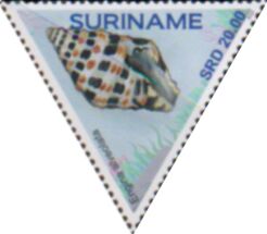 Stamp: Engina alveolata (Suriname(Shells (2022)) Sn:SR 1640e,Yt:SR 3170