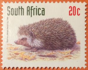 Stamp: Southern African Hedgehog (Atelerix frontalis) (South Africa ...