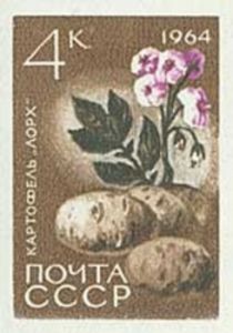 Stamp: Potatoes (Solanum tuberosum) (Soviet Union, USSR(Agricultural ...