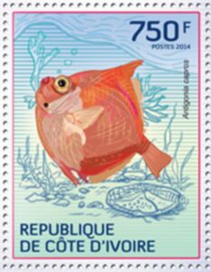 Timbre: Deepbody Boarfish (Antigonia capros) (Côte D'ivoire(Fish (2014 ...