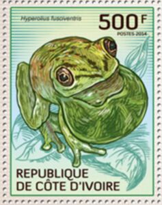 Stamp: Lime Reed Frog (Hyperolius fusciventris) (Ivory Coast(African ...