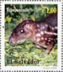 Stamp: Lowland Paca (Cuniculus paca) (El Salvador(Biodiversity of El ...