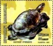 Stamp: Emys orbicularis (Madagascar(Tortoises 2001) Mi:MG 2524A,Yt:MG 1826E