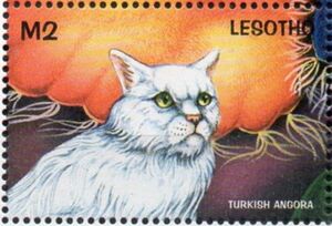 Stamp: Turkish Angora (Lesotho(Cats (1998)) Mi:LS 1290,Yt:LS 1313,Sg:LS ...