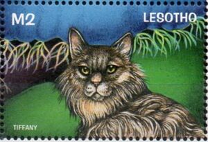 Stamp: Tiffany (Lesotho(Cats (1998)) Mi:LS 1291,Yt:LS 1314,Sg:LS 1396