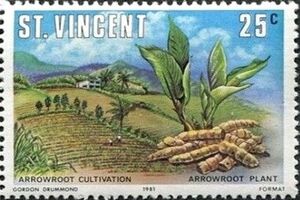 Stamp: Arrowroot cultivation, arrowroot plant (Saint Vincent and The ...