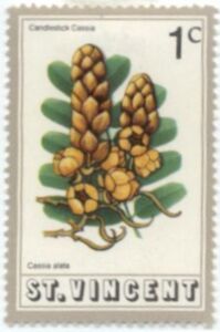 Saint Vincent and The Grenadines: Candlestick Cassia (Cassia alata ...