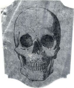 Drink Label: Freeman (United Penza LVZ, RussiaCol:RU-VODKA-000323