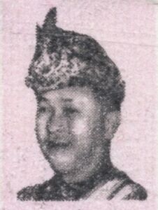 Selo: Blue Pansy (Precis orithya ssp. wallacei) (Selangor(Butterflies ...