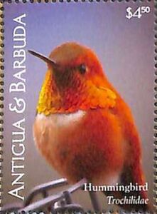 Stamp: Hummingbird (Antigua and Barbuda(Hummingbirds (2021)) Sn:AG ...