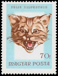 Stamp: Wildcat (Felis silvestris) (Hungary(Hunting Trophies) Mi:HU ...