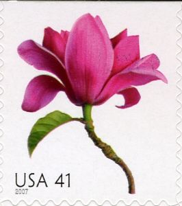 Stamp: Magnolia (United States of America(Beautiful Blooms) Mi:US ...