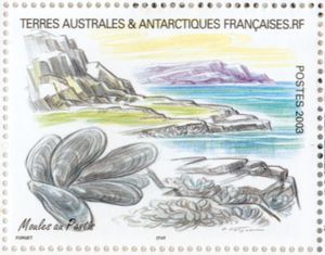 Stamp: Mussels (Mytilidae) with Pastis (French Southern and Antarctic ...