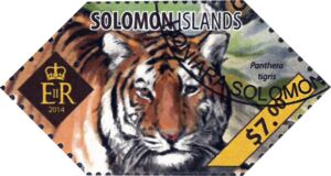 Stamp: Panthera tigris (Solomon Islands(World of Tigers (2014)) Mi:SB ...