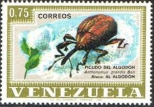 Stamp: Boll Weevil (Anthonomus grandis) (Venezuela(Pest Insects) Mi:VE ...