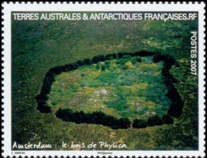 Stamp: Amsterdam Island - The Wood of Phylica (French Southern and ...