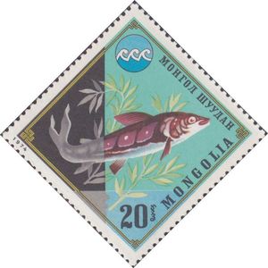 Stamp: Sturgeon (Acipenser sp.) (Mongolia(Environmental Protection) Mi ...