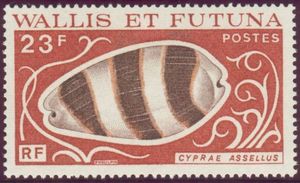 Stamp: Banded Cowrie (Cypraea asellus) (Wallis and Futuna(Shell) Mi:WF ...