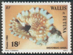 Stamp: Common Distorsio (Distorsio anus) (Wallis and Futuna(Shell) Mi:WF 504,Sn:WF 336,Yt:WF 340 ...