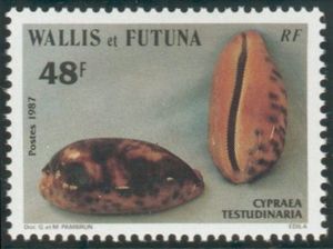 Stamp: Tortoise Cowrie (Cypraea testudinaria) (Wallis and Futuna(Shell ...