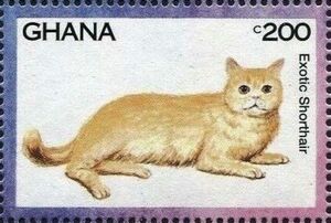 Stamp: Exotic shorthair (Ghana(Cats (1994)) Mi:GH 1986,Yt:GH 1599,Sg:GH ...