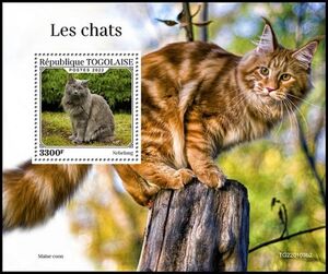 Stamp: Nebelung (Togo(Domestic Cats (2022)) Col:TG 2022-09