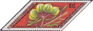 Stamp: Zygophyllum Xanthoxylon (Mongolia(Medicinal Plants) Mi:MN 917,Sn ...