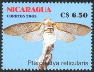 Stamp: Wax-tail Hopper (Pterodictya reticularis) (Nicaragua(Insects of ...