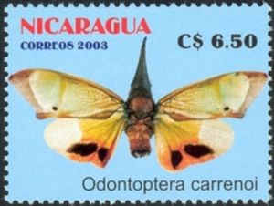 Stamp: False Eye Lantern Bug (Odontoptera carrenoi) (Nicaragua(Insects ...