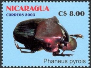 Briefmarke: Scarab Beetle (Phanaeus pyrois) (Nicaragua(Insects of ...