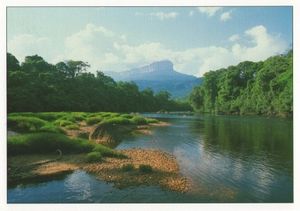 Tarjeta Postal: Duida–Marahuaca National Park. Cerro Huachamacare ...