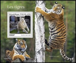 Stamp: Panthera tigris tigris (Togo(Tigers (2022)) Col:TG 2022.01.31-56