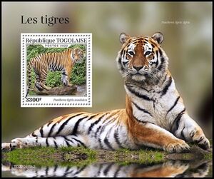 Stamp: Panthera tigris sondaica (Togo(Tigers (2022)) Col:TG 2022.01.31-57