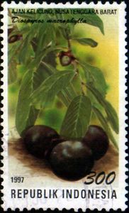 Stamp: Diospyros macrophylla (Indonesia) (Flora and Fauna) Mi:ID 1735 ...