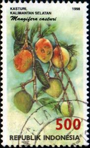 Stamp: Mangifera casturi (Indonesia(National Love Flora & Fauna day ...