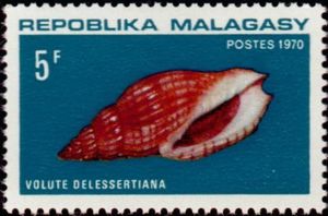 Stamp: Delessert's Volute (Lyria delessertiana) (Madagascar(Shells ...