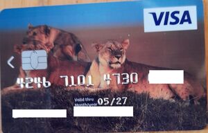 Bank Card: Lions (ING Bank Śląski SA, PolandCol:PL-VI-0437.03