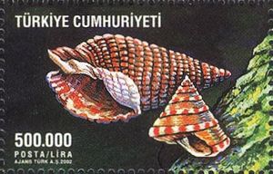 Stamp: Shell (Türkiye (Turkey)(Mussels and Marine Snails) Mi:TR 3314,Sn ...