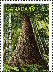 Timbre: Tree (Canada(International Year of Forests) Mi:CA 2711,Sn:CA ...