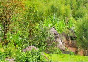 Postcard: Dorze Village. Ethiopia (Ethiopia(Dorze) Col:ET-000002