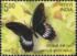 Stamp: Andaman Mormon (Papilio mayo) - Male (India(Endemic Butterflies ...