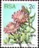Stamp: Water Sugarbush (Protea punctata) (South Africa(Sugarbushes) Mi ...
