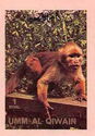 Stamp: Titi (Callicebinae) (Umm al-Qiwain(Animals (I), large format) Mi ...